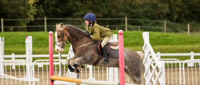 Equestrian Team Achievements - New Hall School