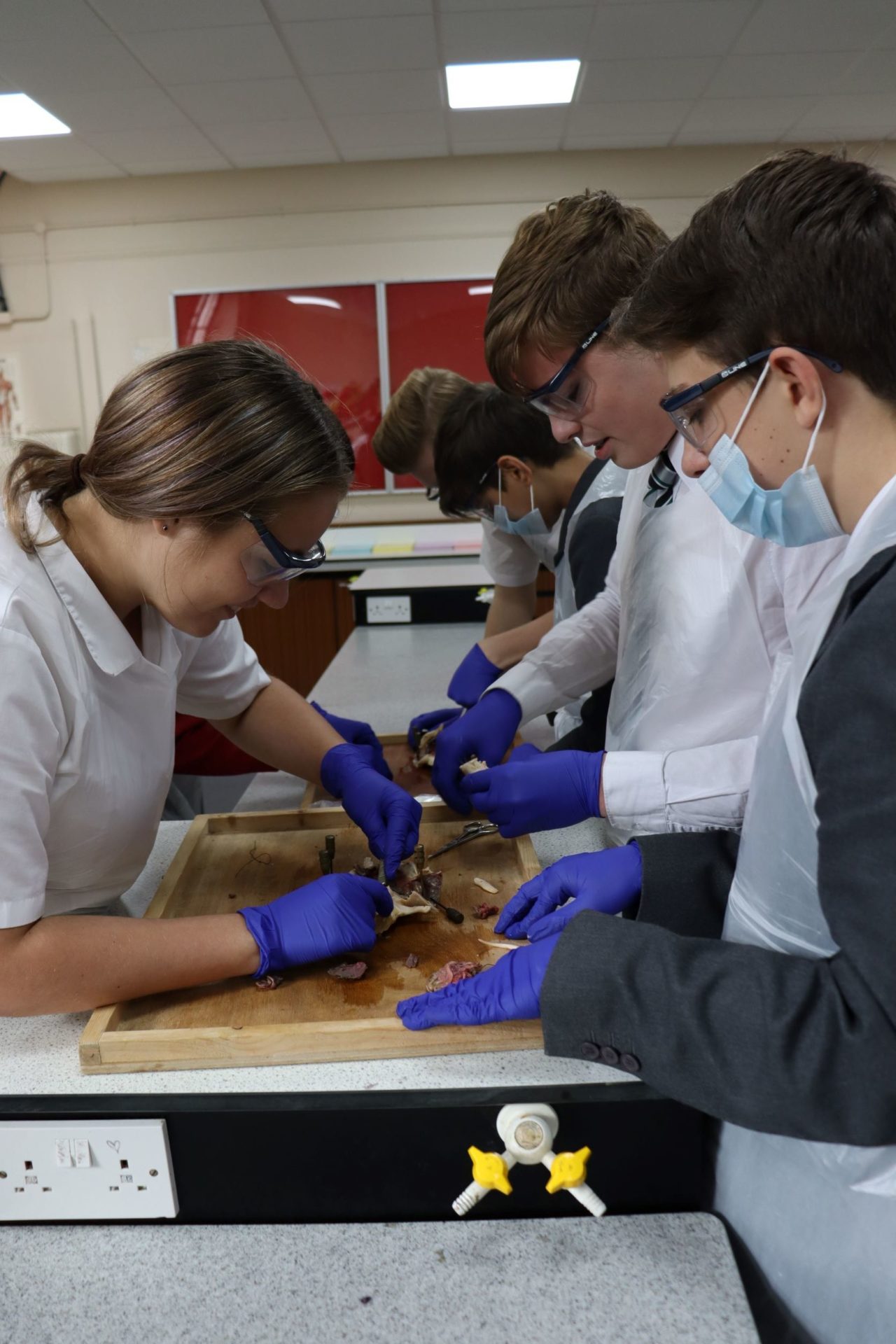 Biology Week 2021 - New Hall School