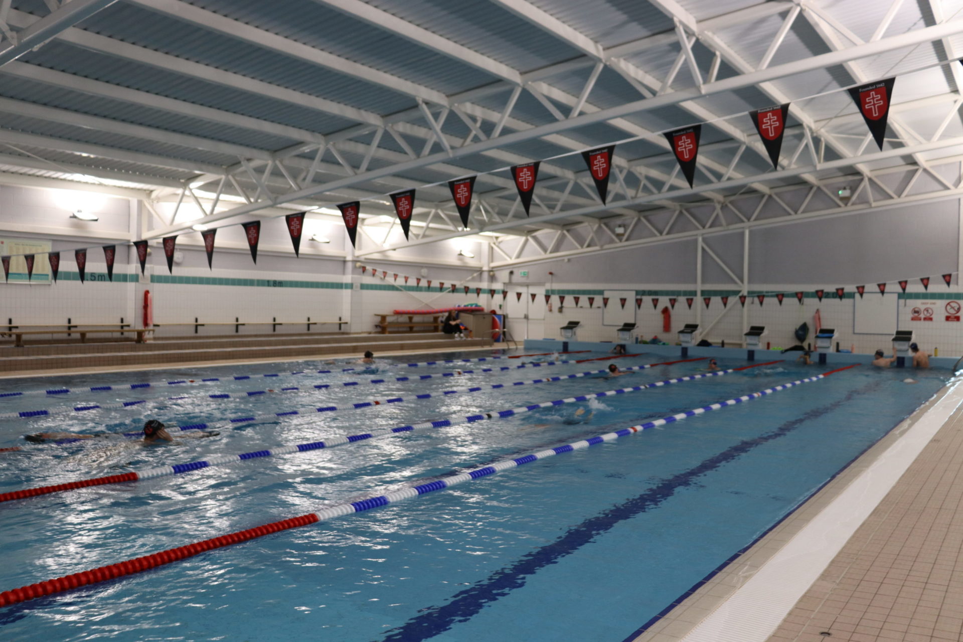 Swimming Success at County Championships - New Hall School