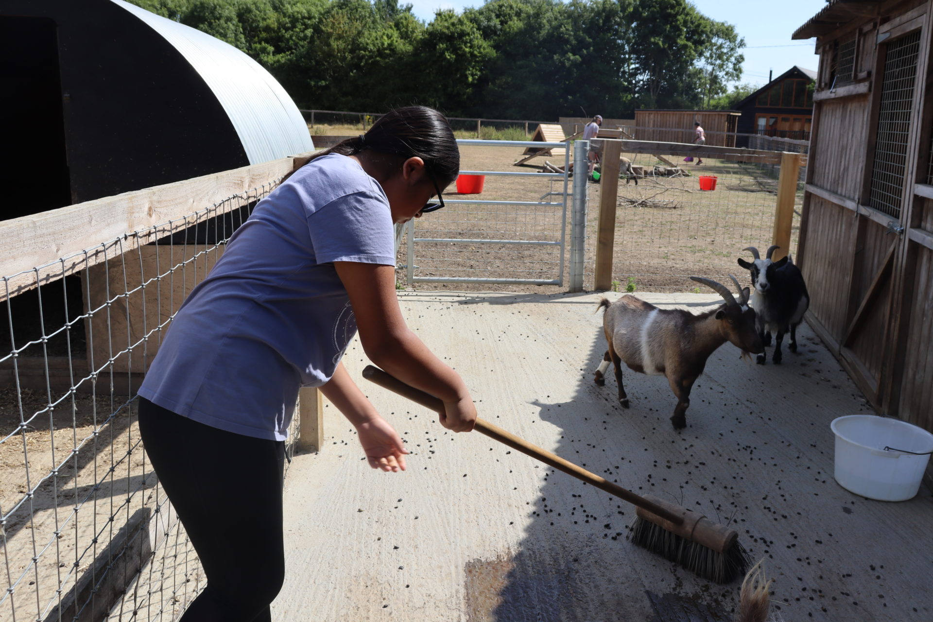 New Hall Farm | New Hall School | Sixth Form