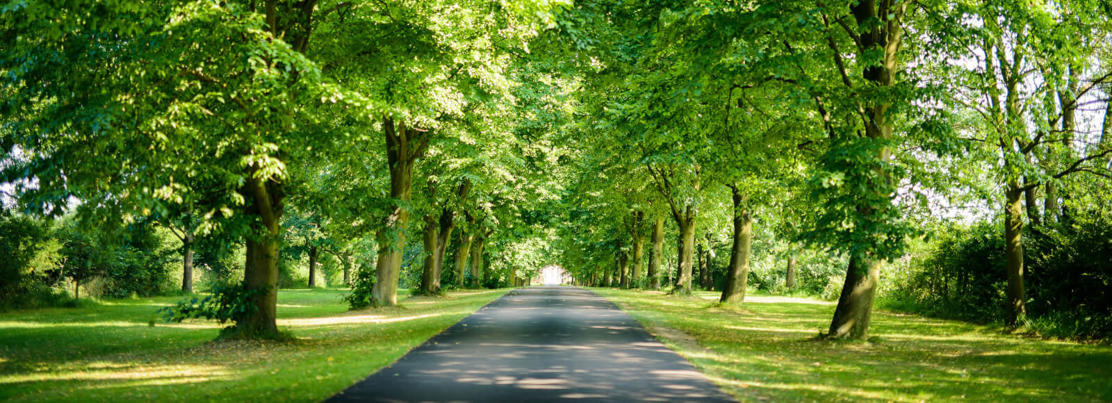 About | New Hall School | 'The Best Start in Life' in Essex