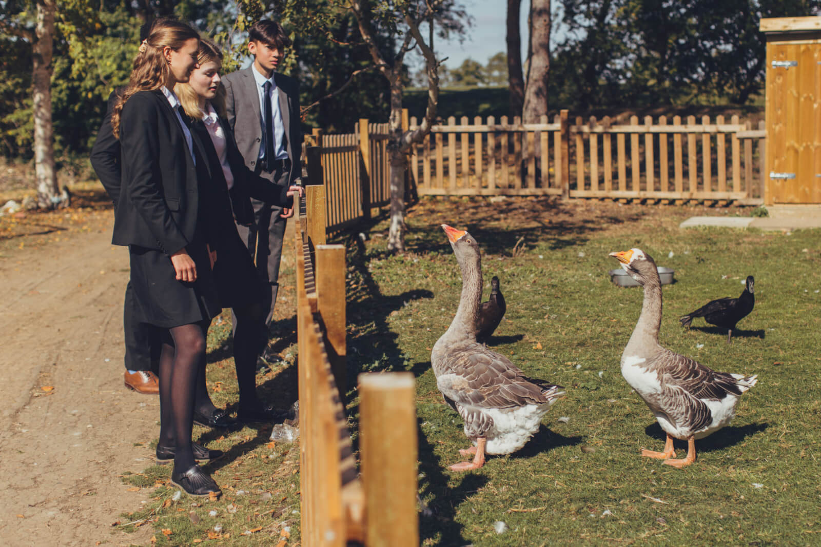 Free Range Learning: Outdoor Education on New Hall’s Farm - New Hall School